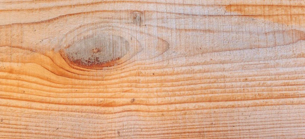 Bax Hout: Dé Brabantse Specialist in Kwaliteitshout en Maatwerk - Groen ...